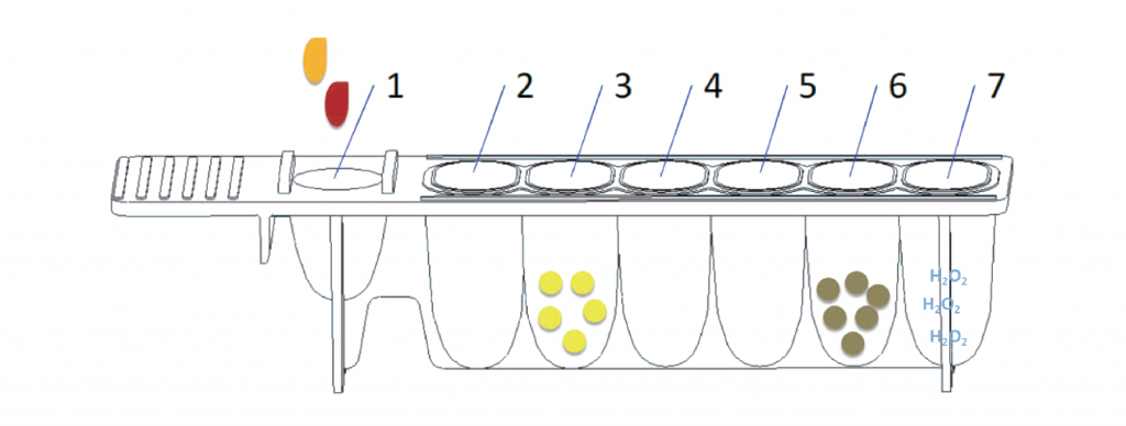 Drawray iStar 500 - Chemiluminescence Immunoassay Analyzer - PT. SETIA ...